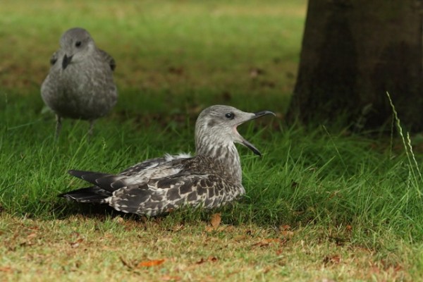 Early light, late night (and a tiny surprise) | Everything is Permuted