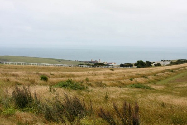 Kestrels of Sheepcote | Everything is Permuted