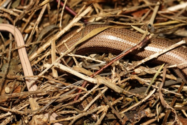 Pier 2 Pier | Everything is Permuted