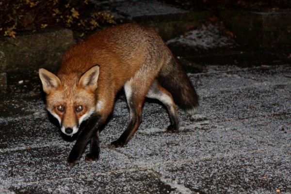 One Shot | Everything is Permuted