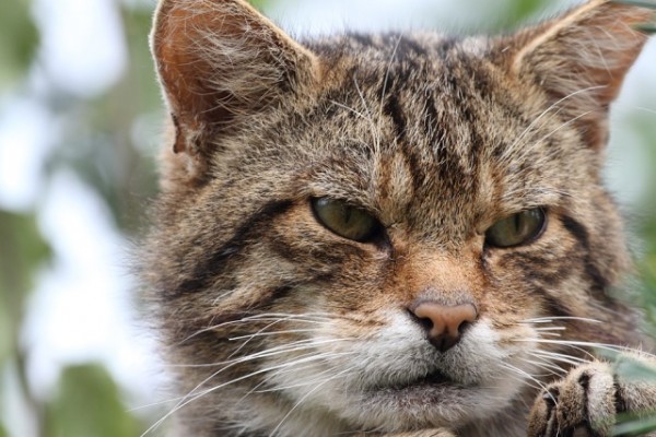 Visions of Light (photography workshop with Andy Rouse) | Everything is ...